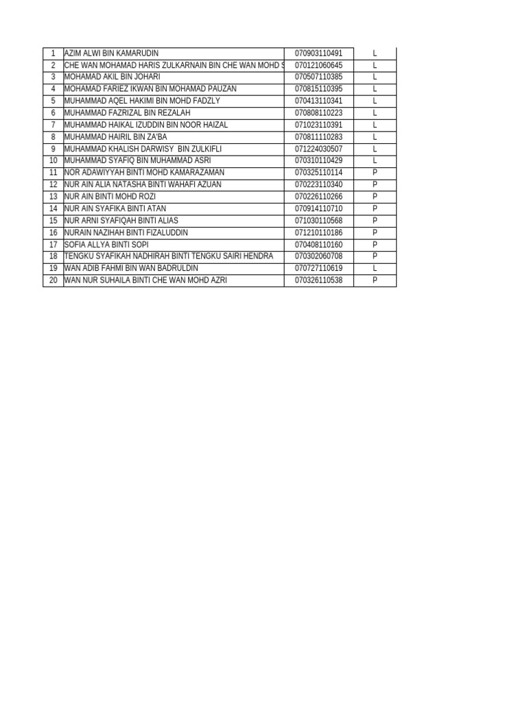 Dummy Excel | PDF