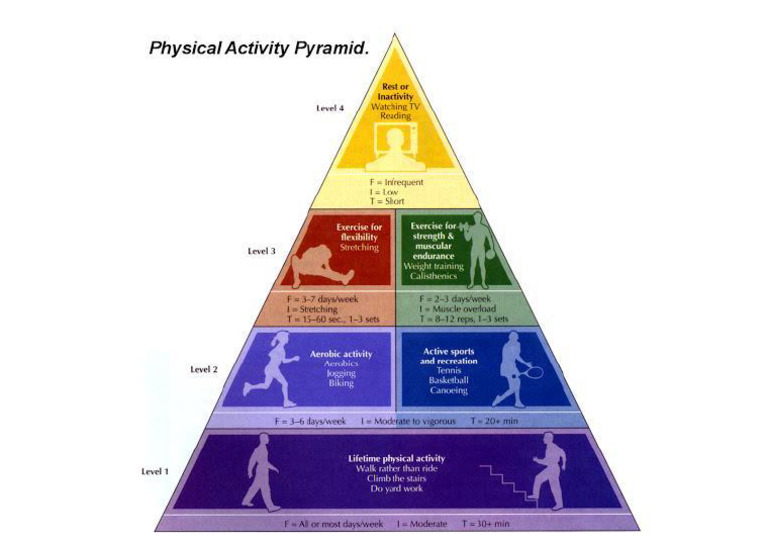 PED 012 Physical Activity Pyramid | PDF