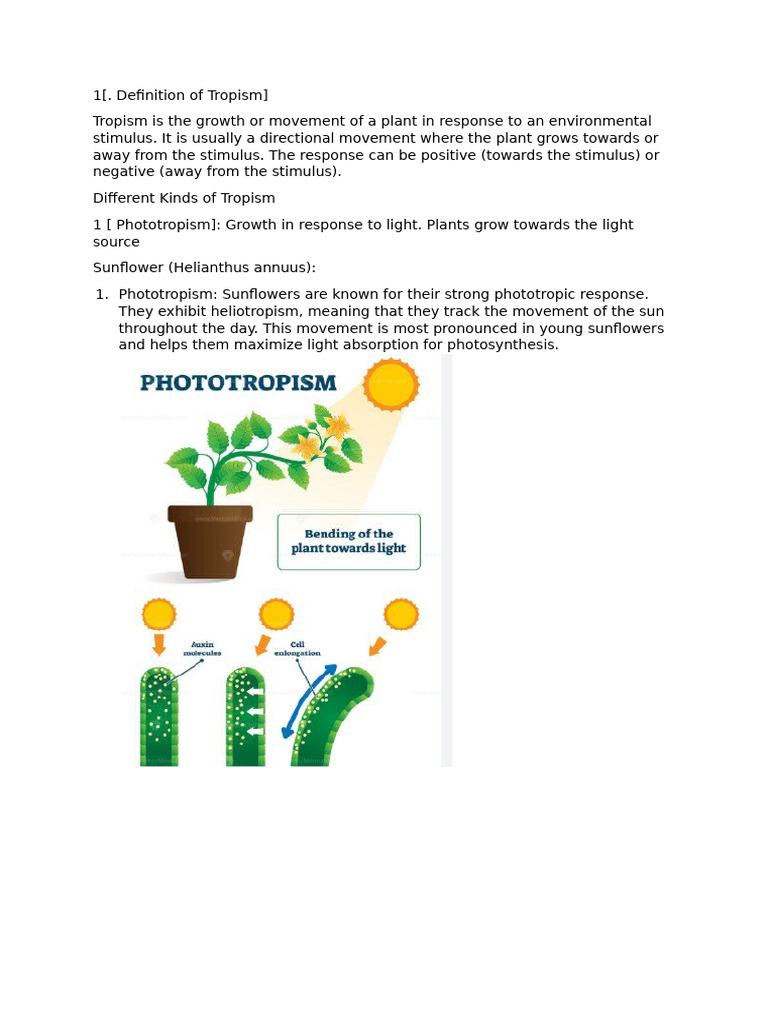 Science Project - Bhargav | PDF