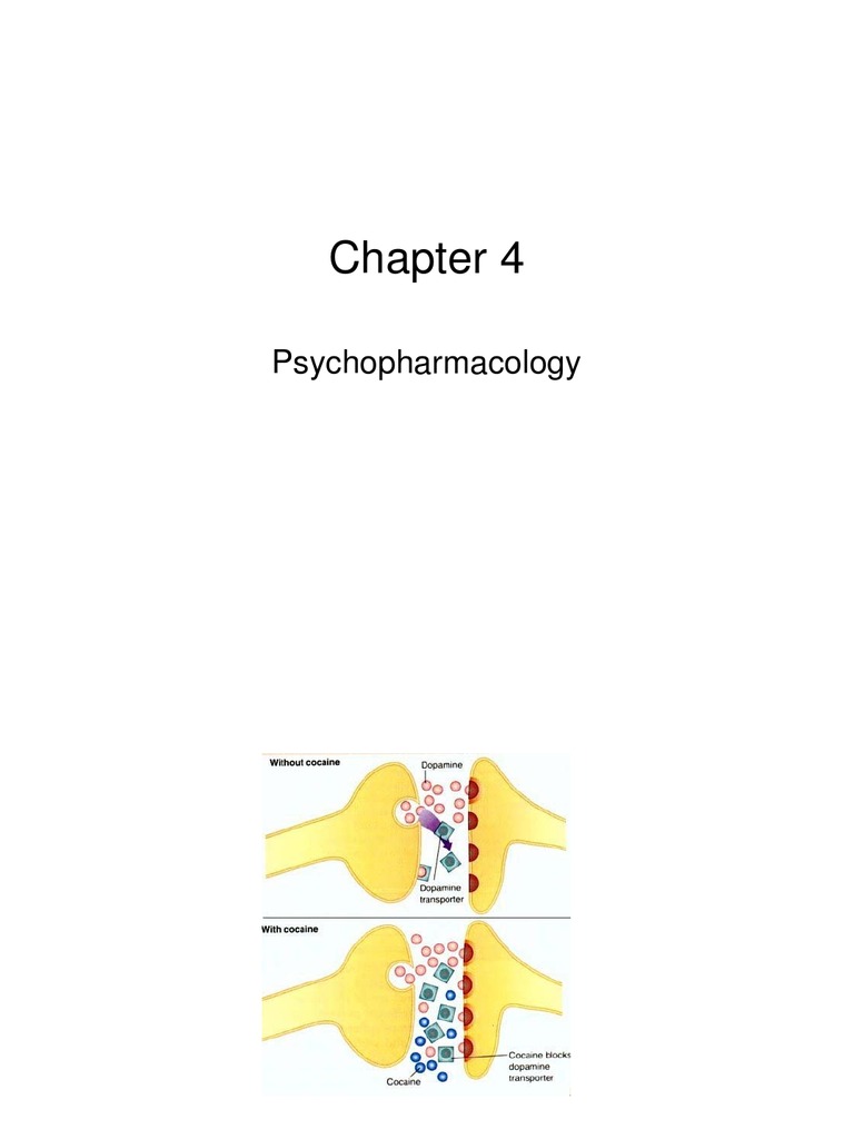 Chapter 4: Psychopharmacology | PDF | Inhibitory Postsynaptic Potential ...