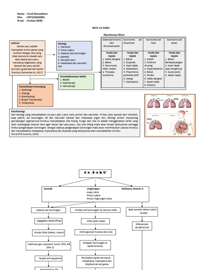383626293-WOC-ca-paru-2 | PDF