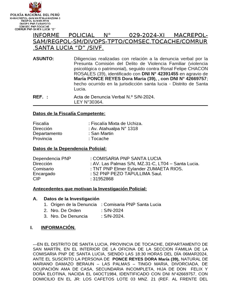 Informe Policial | PDF