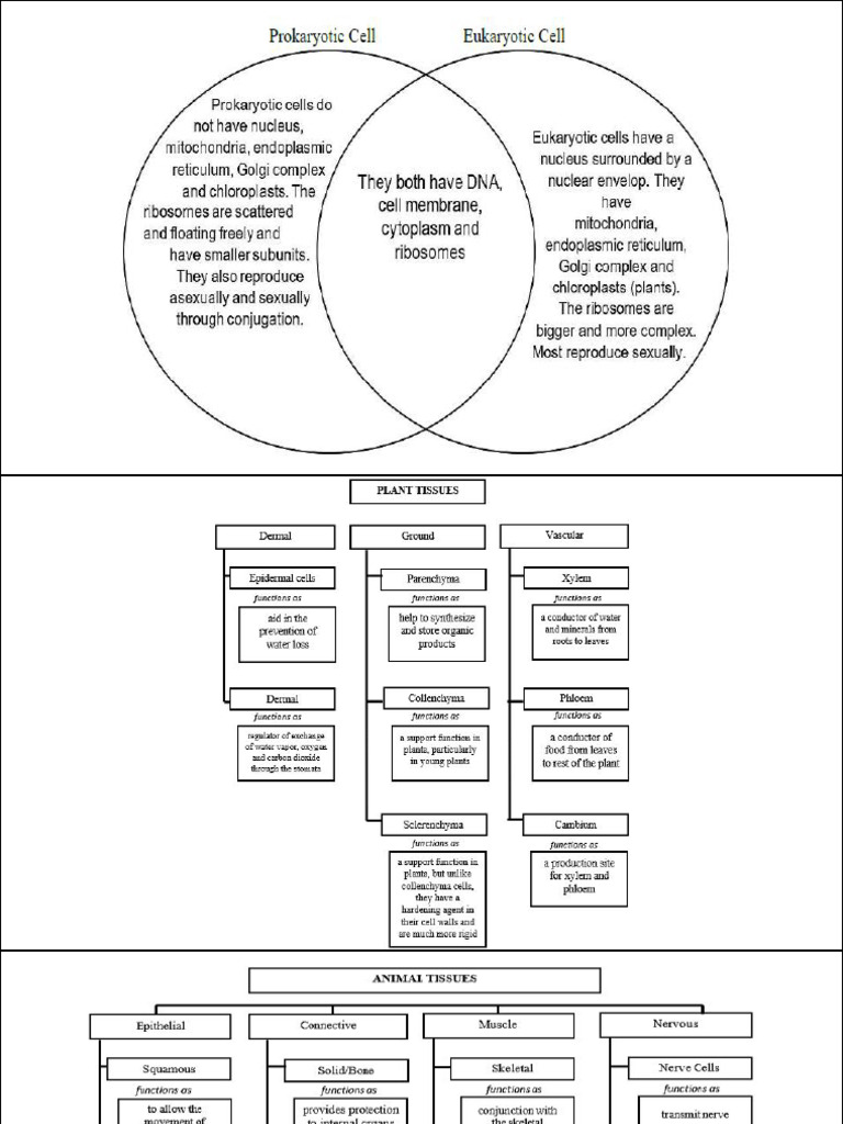 CELL-MODIFICATION-CYCLE | PDF