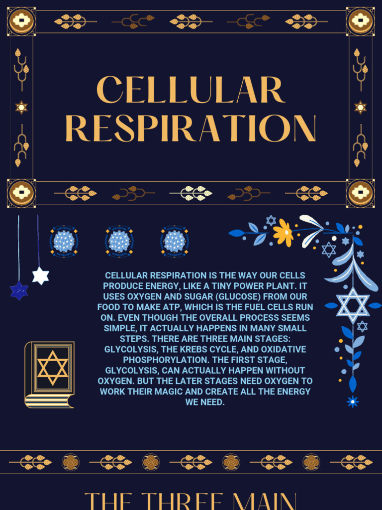 Cellular Respiration | PDF
