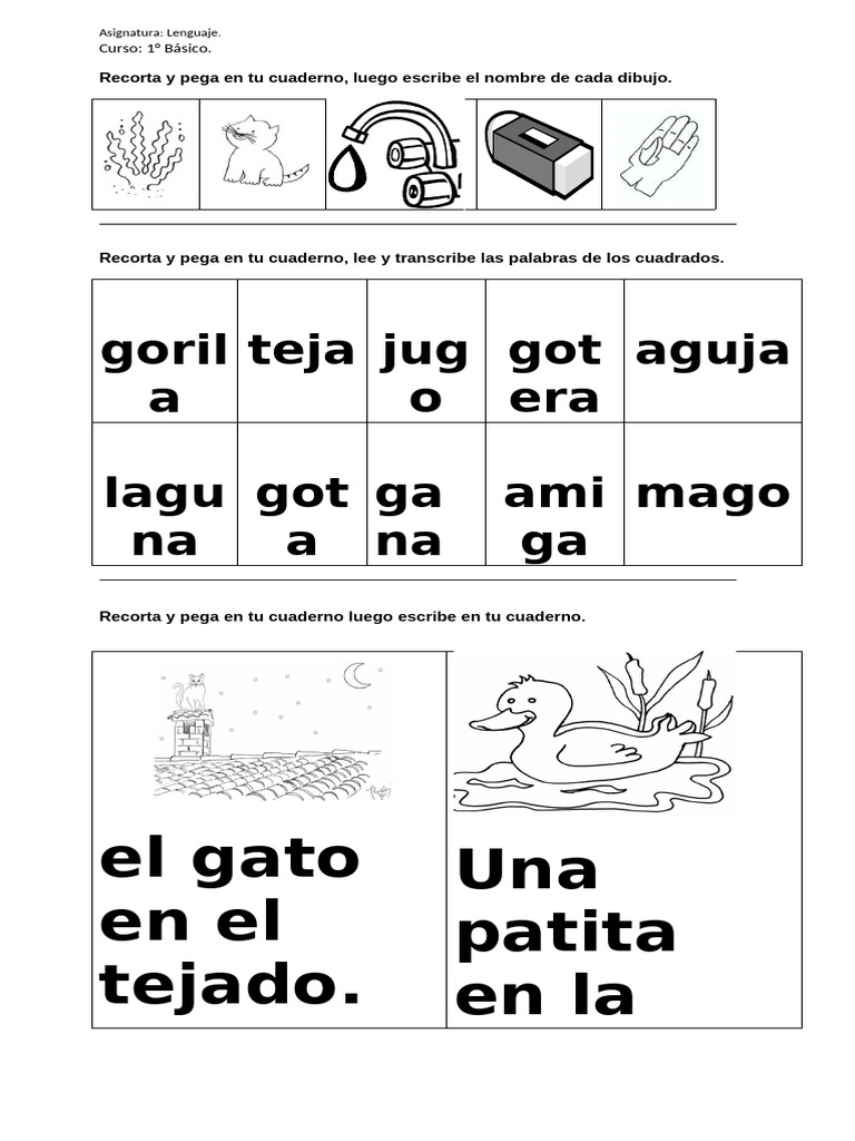 Lección Gato - Matte | PDF