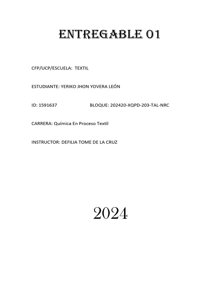 Entregable 01 Yeriko Yovera | PDF