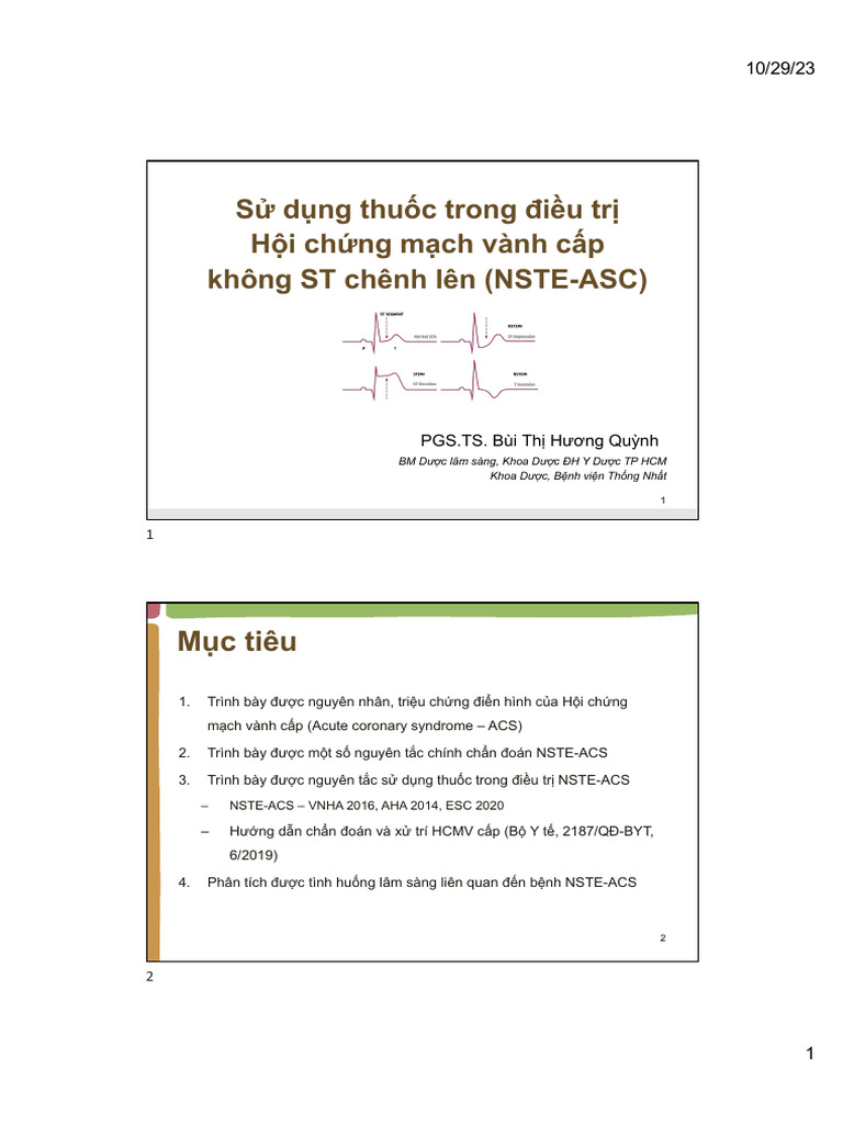 2023 - HCVC Nstemi | PDF