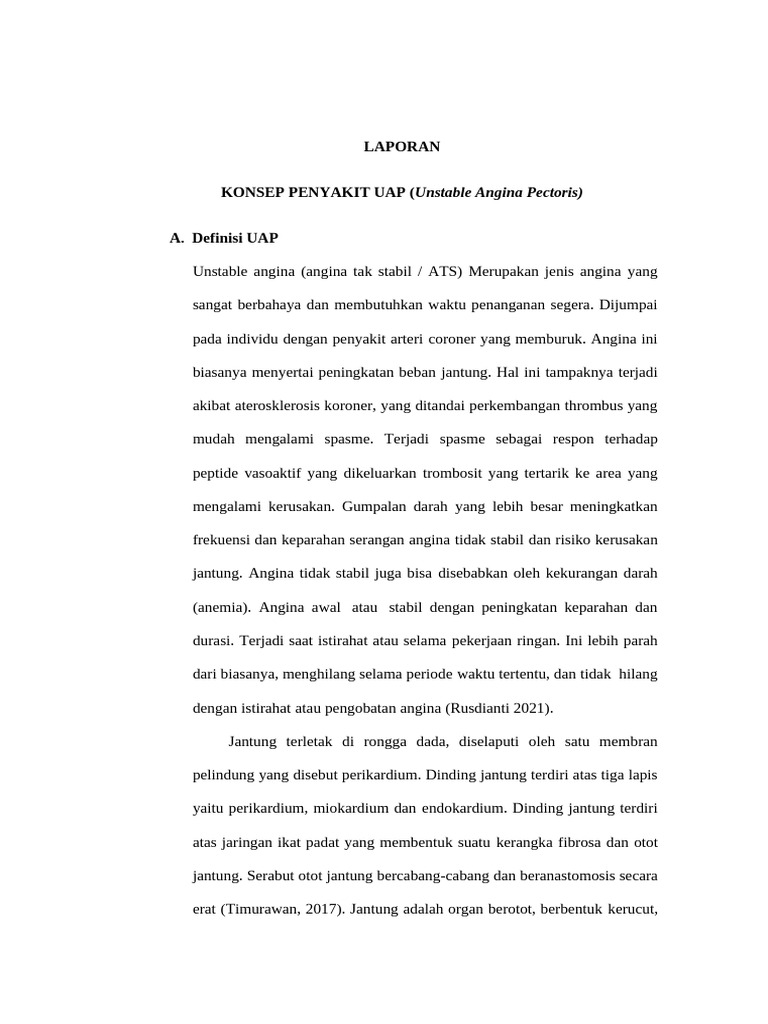 Laporan Pendahuluan UAP | PDF