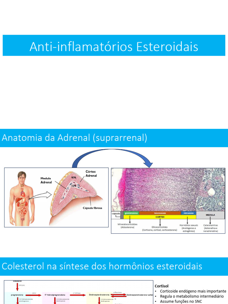 Anti-inflamat Esteroidais | PDF