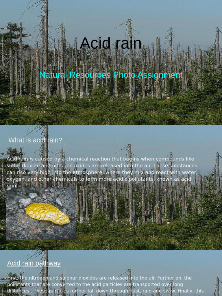 Acid Rain | PDF
