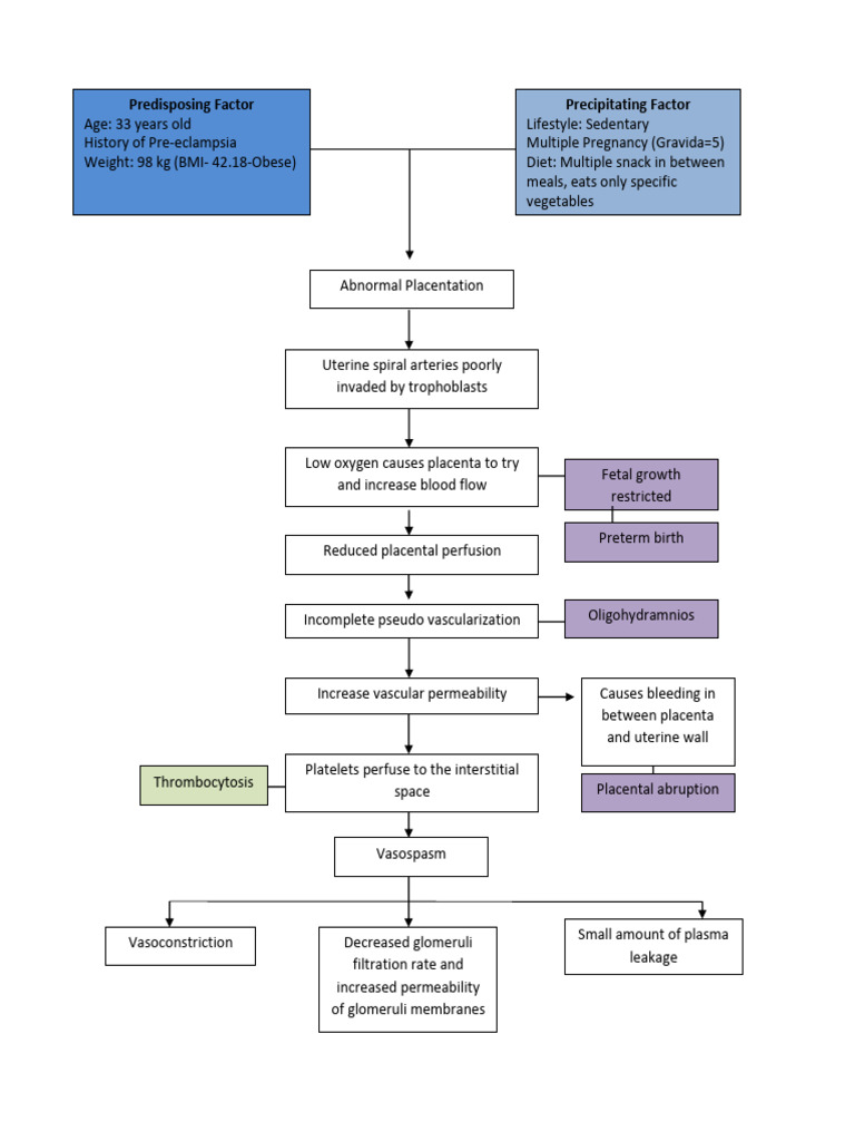 Pathophysiology of Pre Eclampsia | PDF