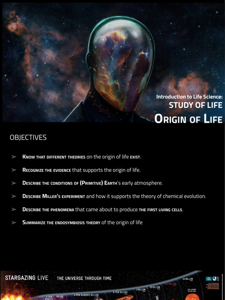 Origin of Life | PDF
