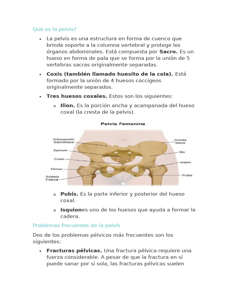 Documento (1) (4) | PDF