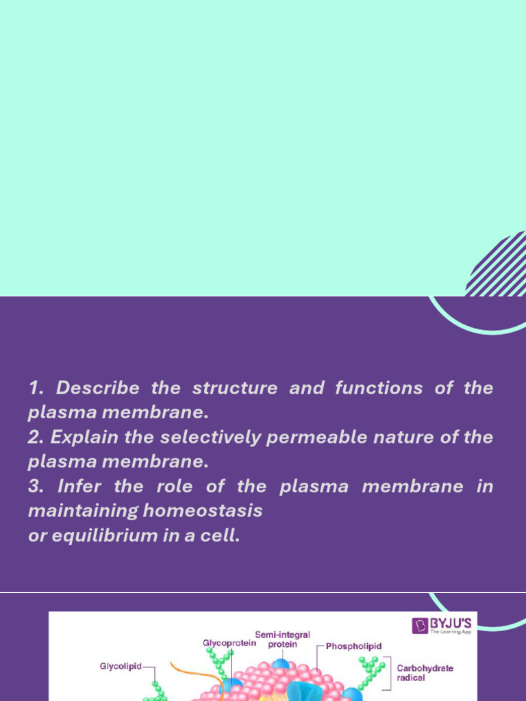 Plasma Membrane and Cellular Transport | PDF | Cell Membrane | Cell ...