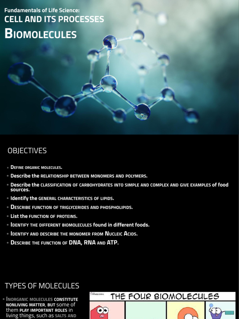 Biomolecules | PDF