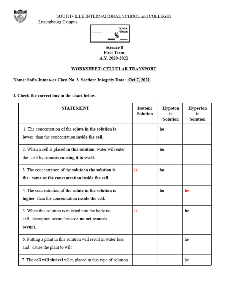 WORKSHEET Cellular Transport | PDF