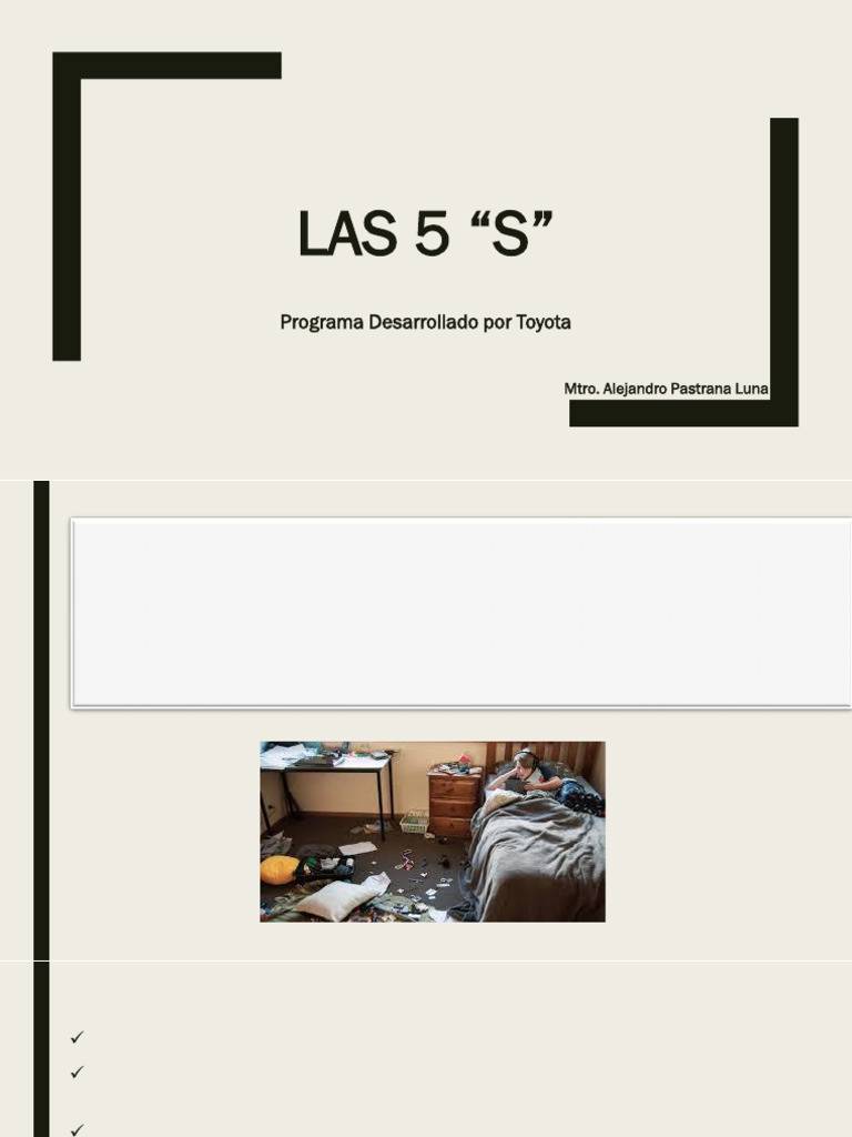 Programa de Calidad 5 S | PDF