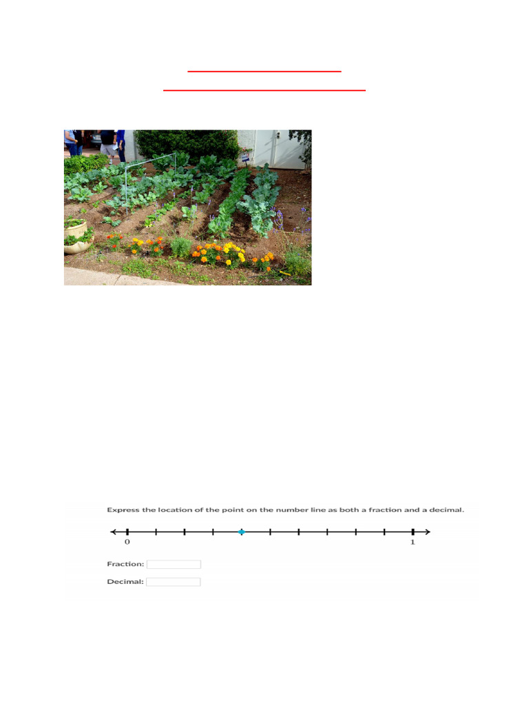 Fraction and Decimals | PDF