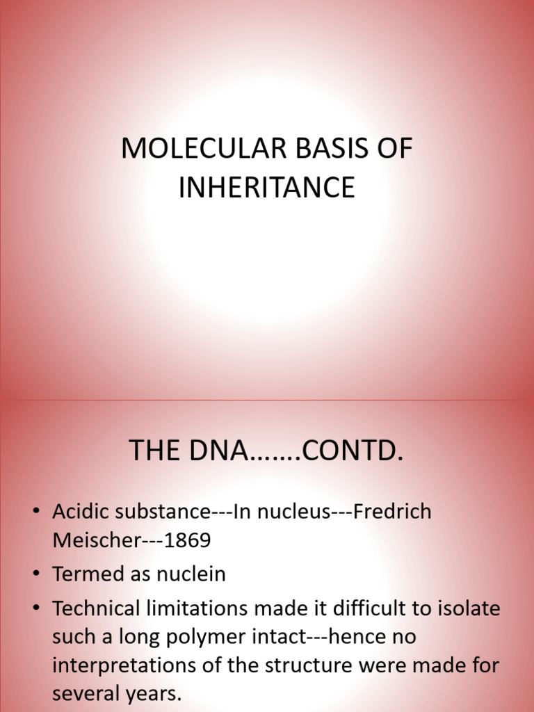 Molecular Basis of Inheritance - S | PDF