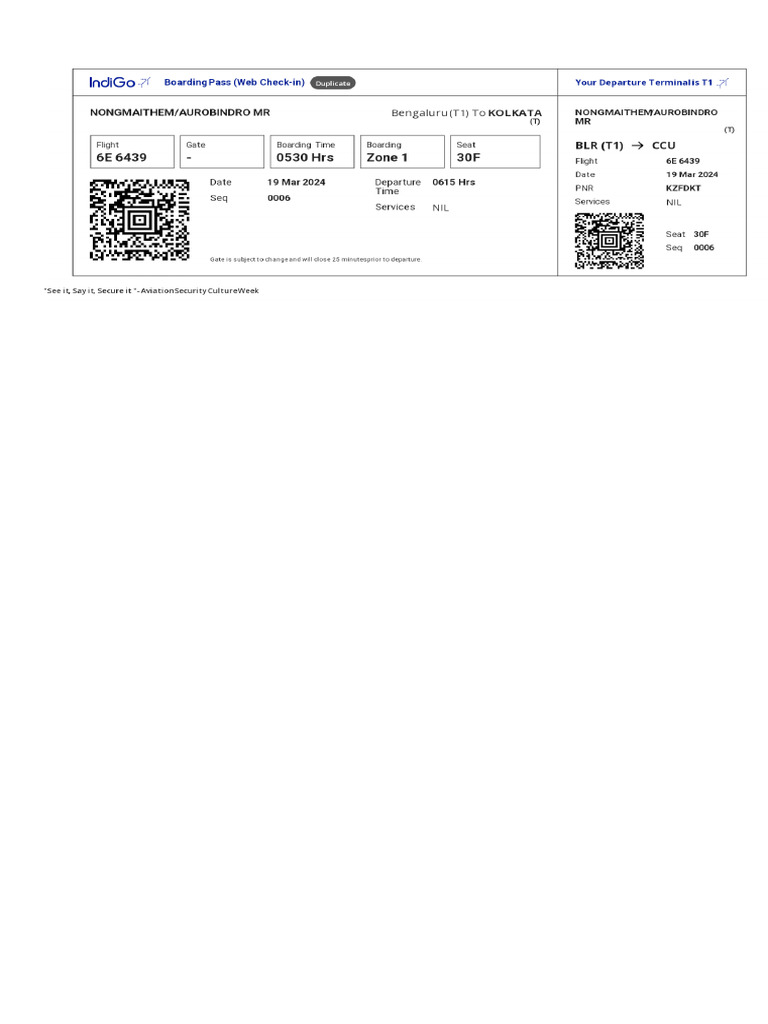 Boarding Pass | PDF