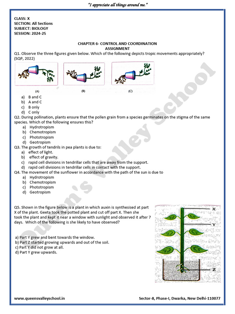 Class X Chapter-6 Control and Coordination Assignment. | PDF