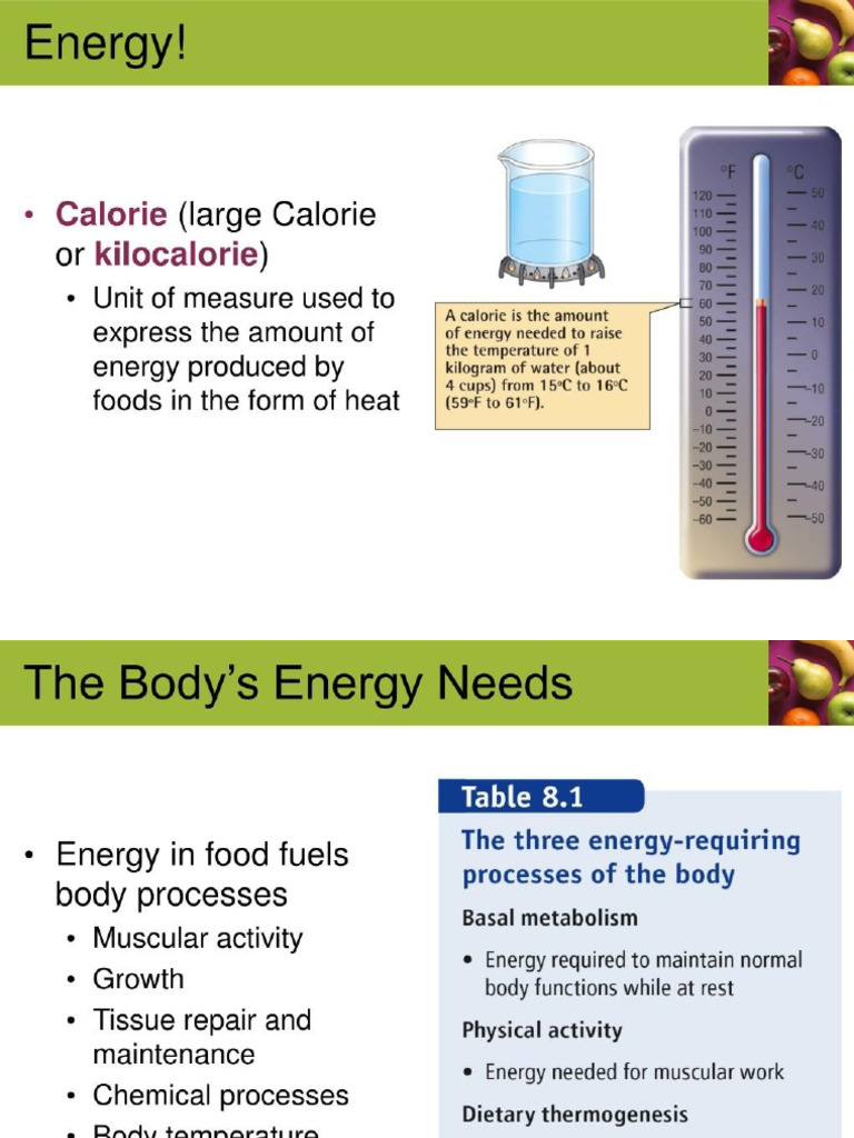 food, energy & functions of food | PDF