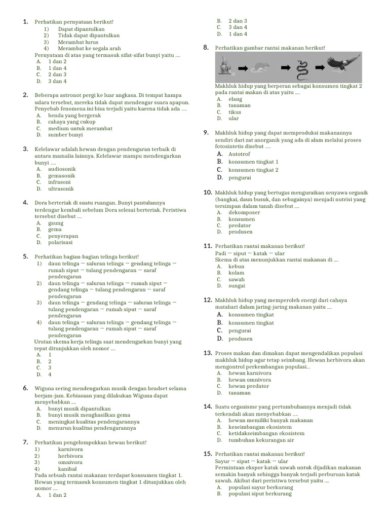 Latihan Sts Ipas | PDF