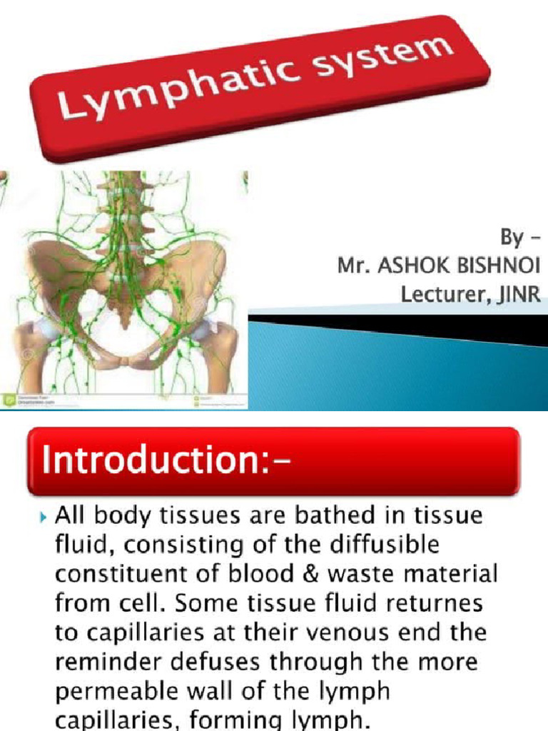 Lymphatic System Notes GNM | PDF