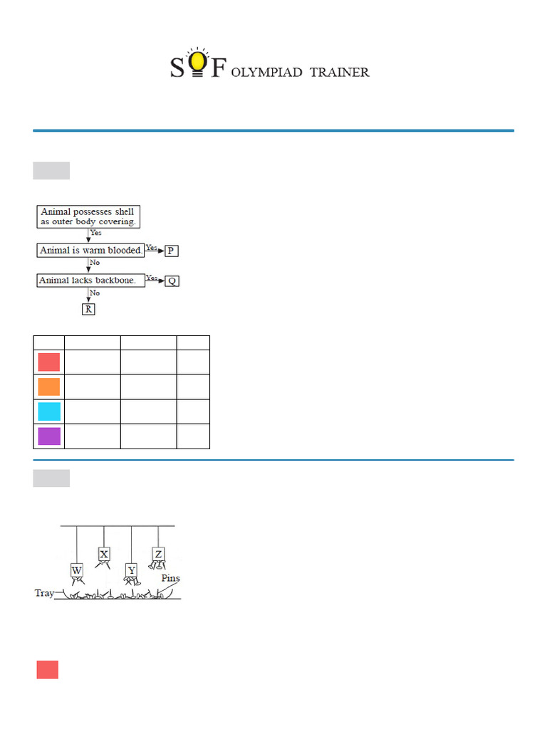 NSO Level 2 - Class 5 (2017-2018) | PDF
