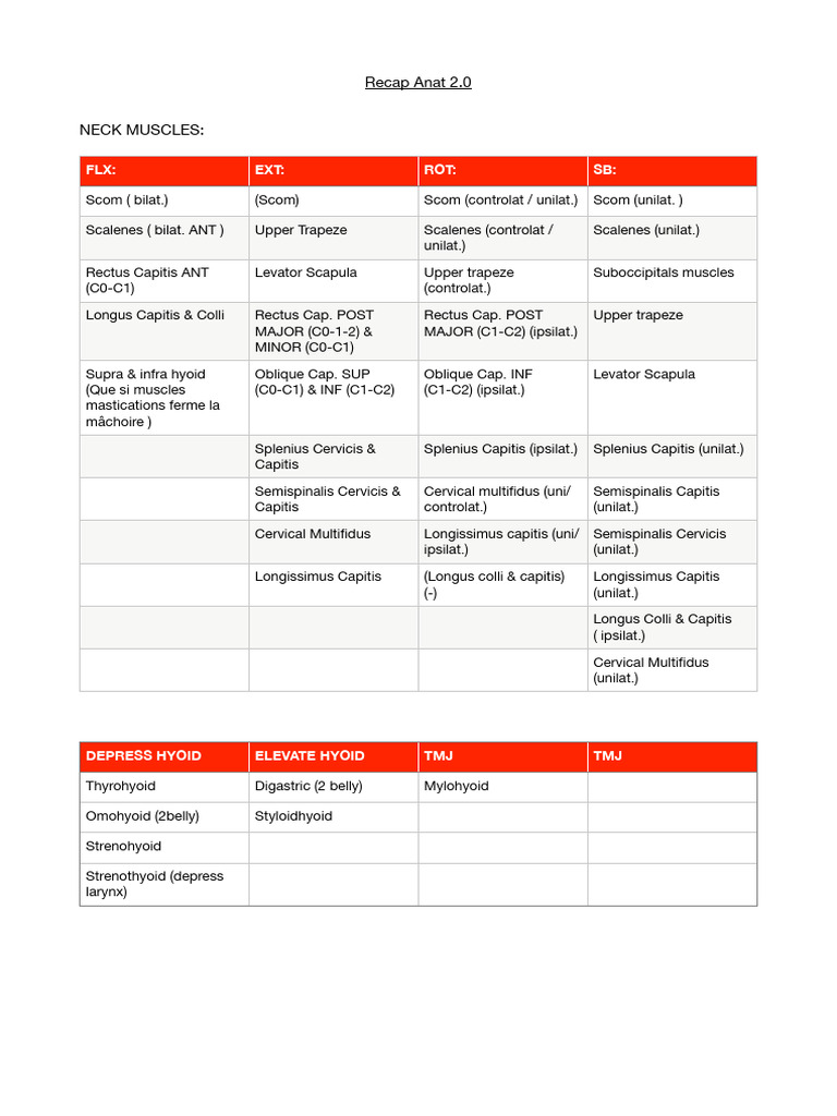 recap anat 2.0 | PDF