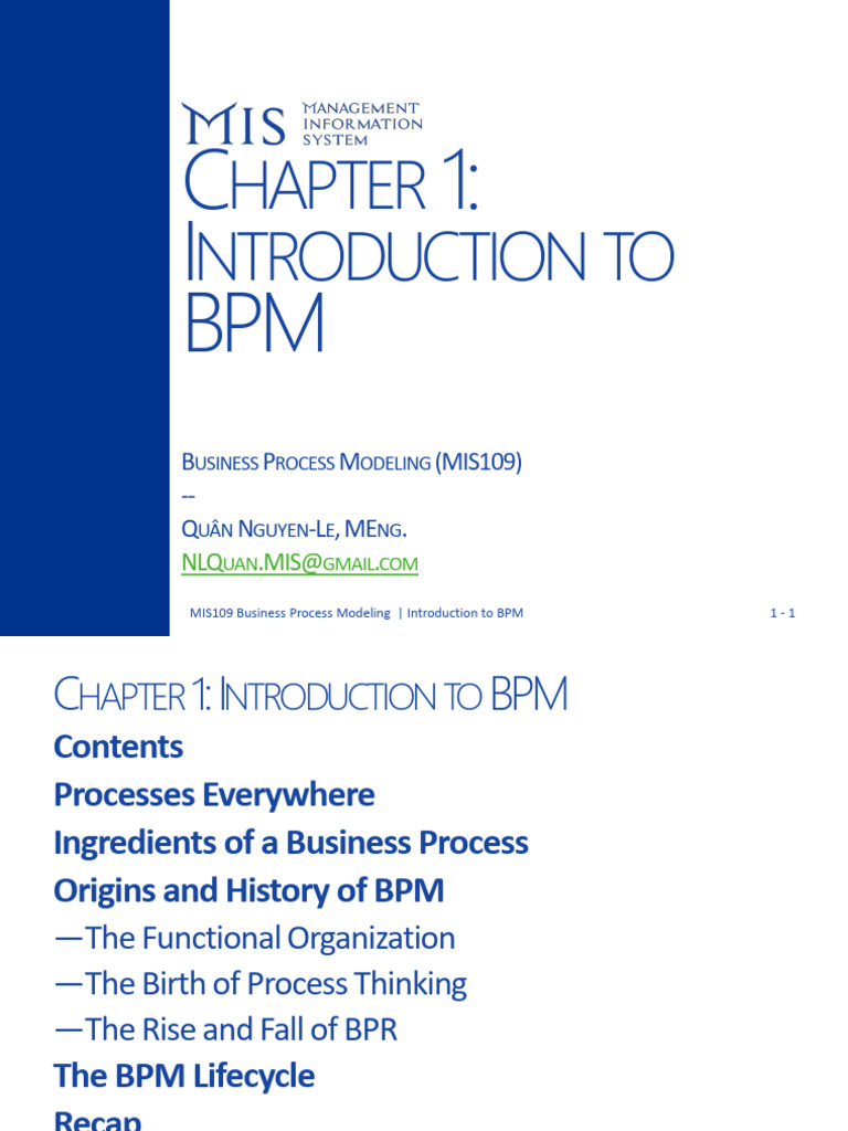 MIS109 Chap01 | PDF