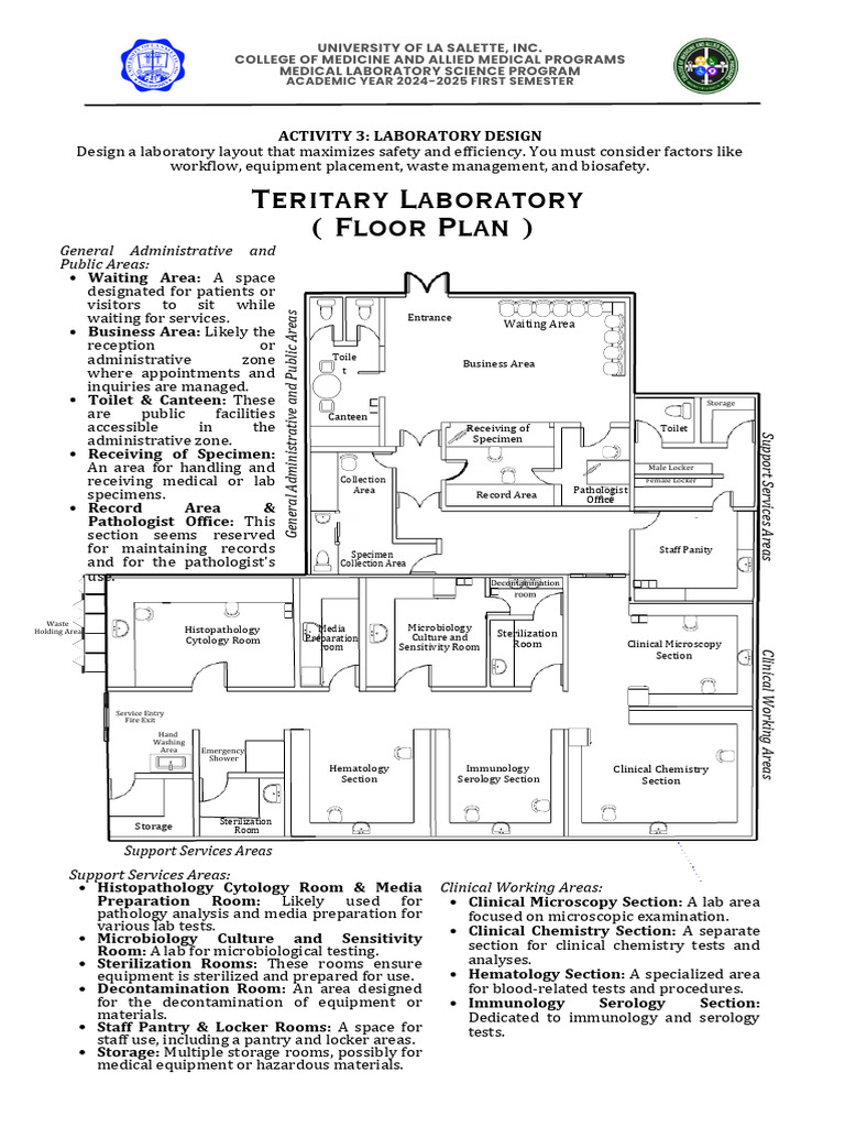 LABMAN ACTIVITY 3 (1) | PDF