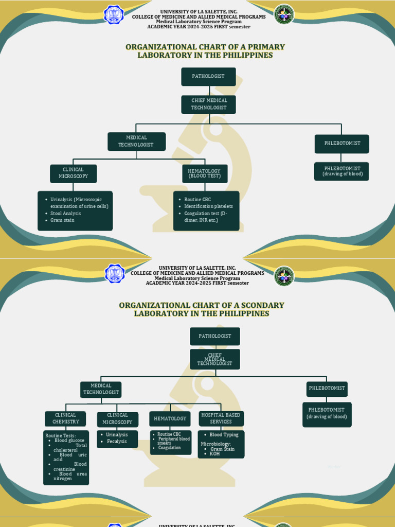 Labman Activity 2 | PDF