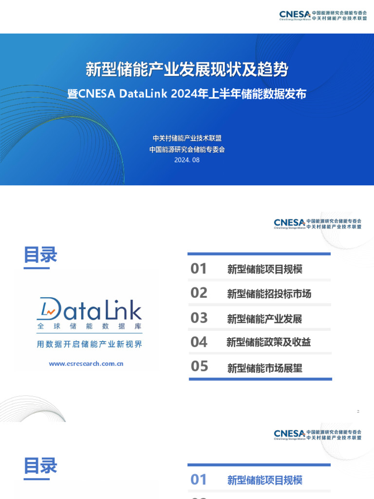 CNESA 新型储能产业发展现状及趋势 | PDF