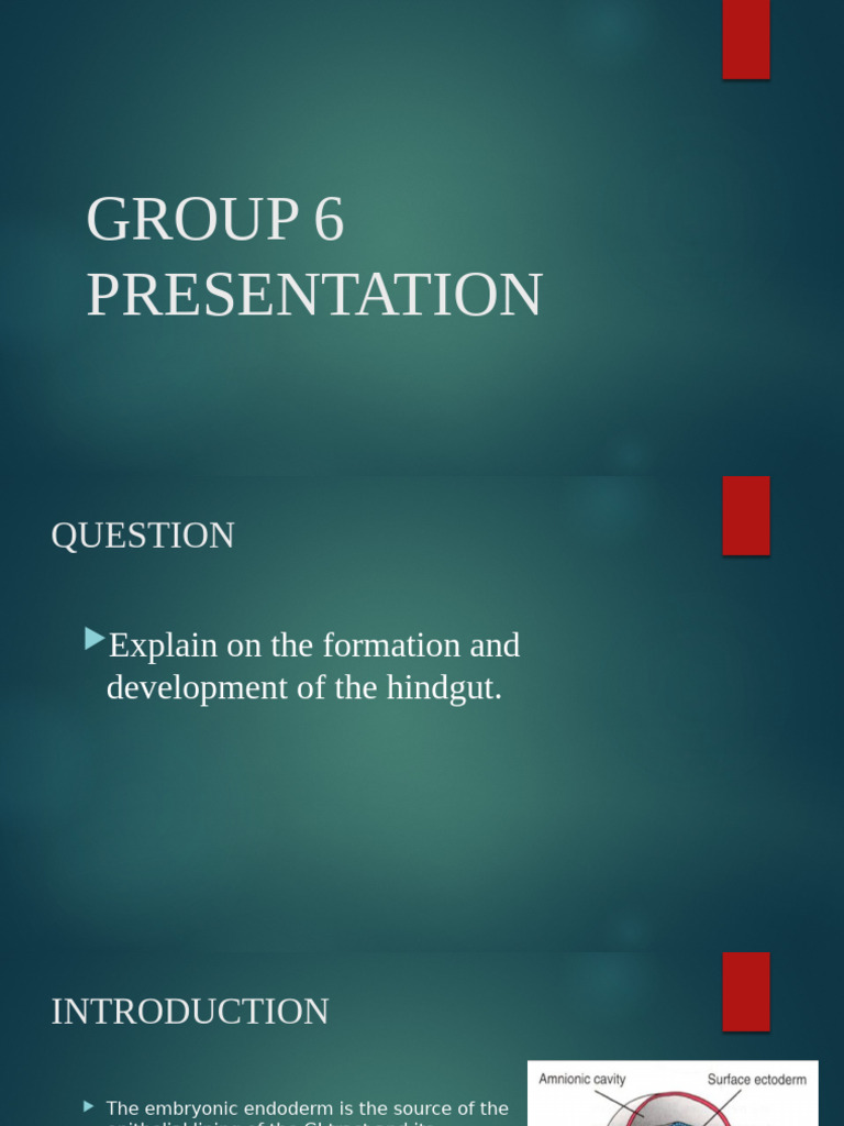 Presentation_group_6_embryology | PDF