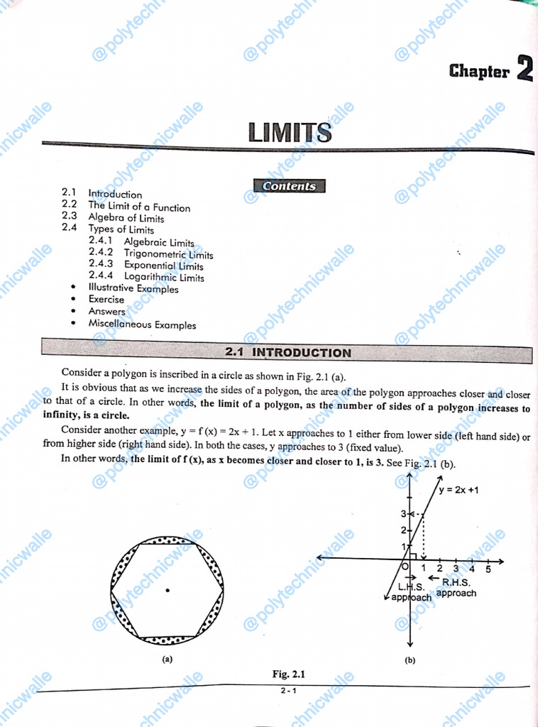 CH 2 Limits Nirali Maths 2 | PDF | Limit (Mathematics) | Function (Mathematics)