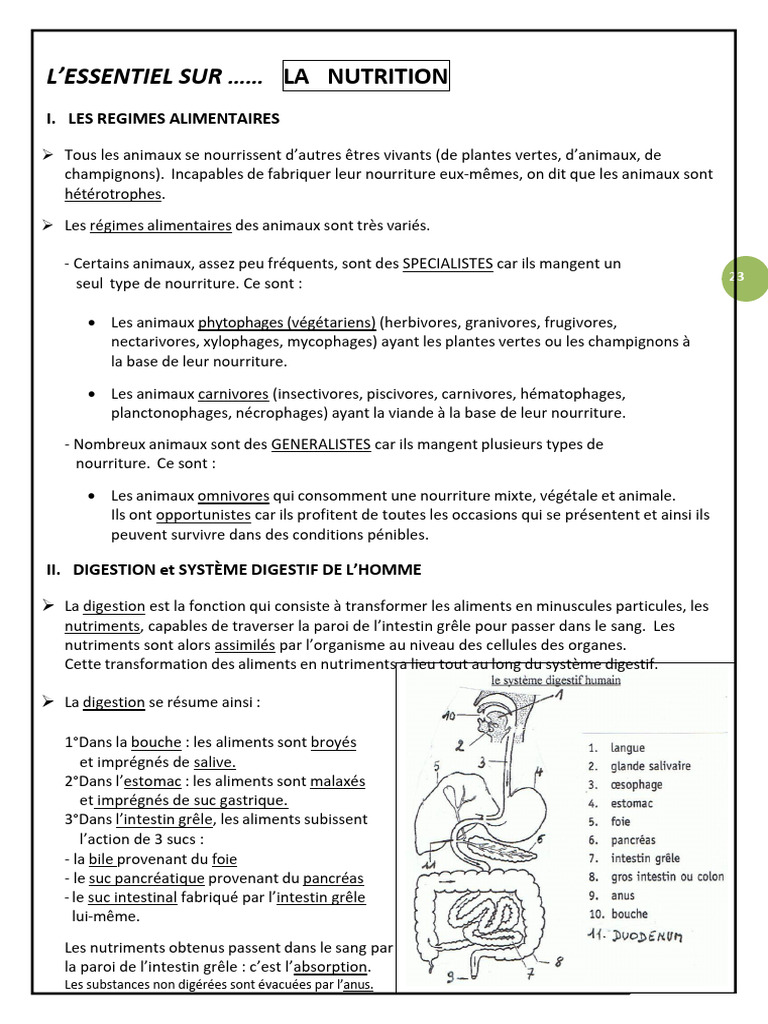 Chapitre 1 Essentiel Alimentation Impression | PDF
