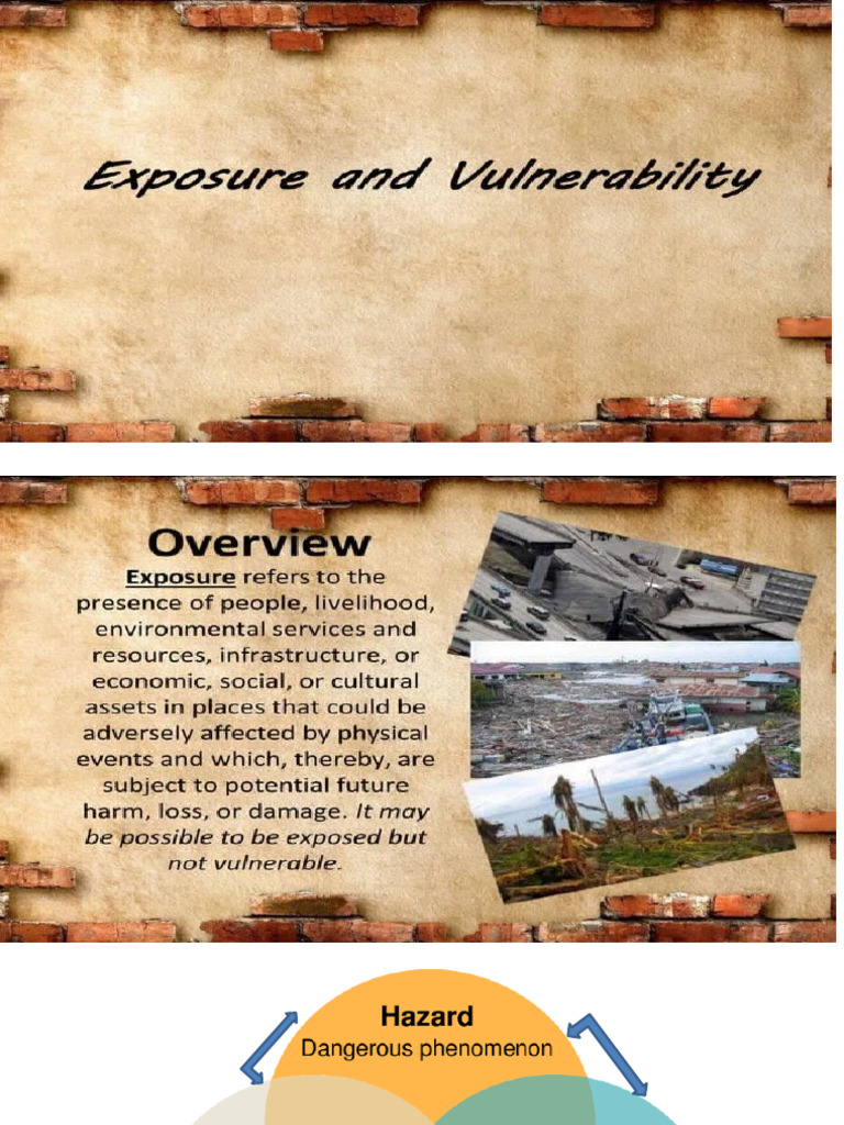 Lesson 3 Exposure and Vulnerability | PDF