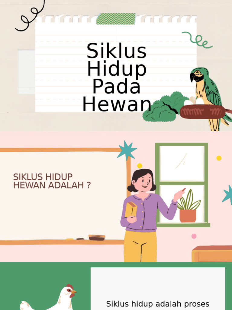 Presentasi Pendidikan Siklus Hidup Manusia Dan Hewan Gaya Kolase Rapi ...