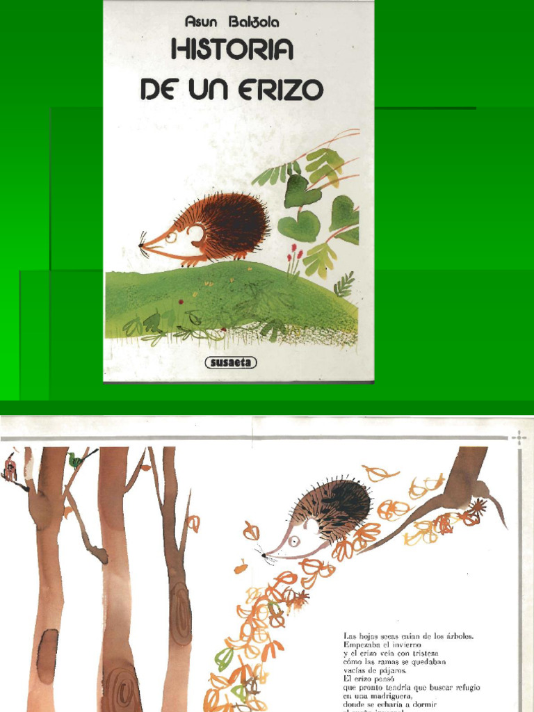 La Historia De Un Erizo Pdf