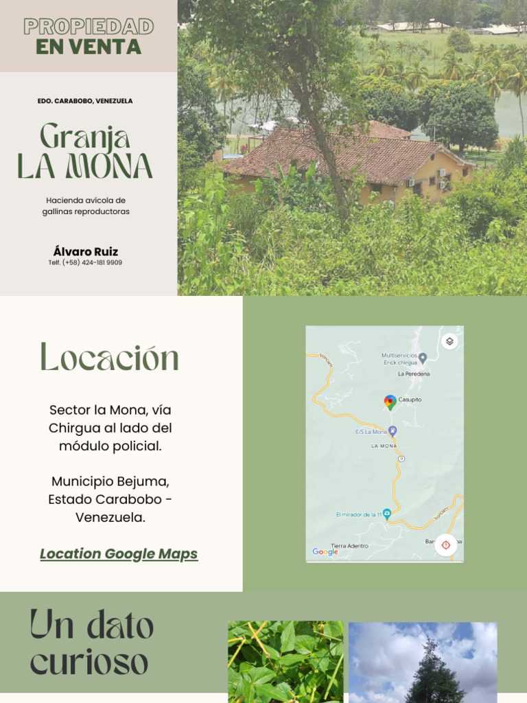 Granja Avícola La Mona | PDF