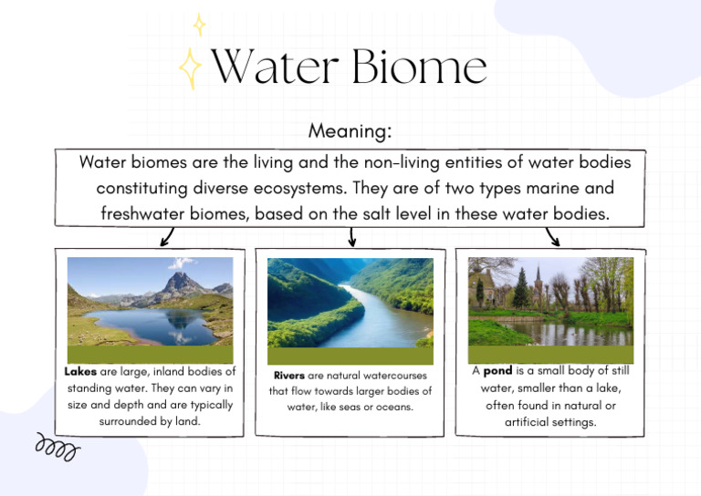 Water Biome | PDF