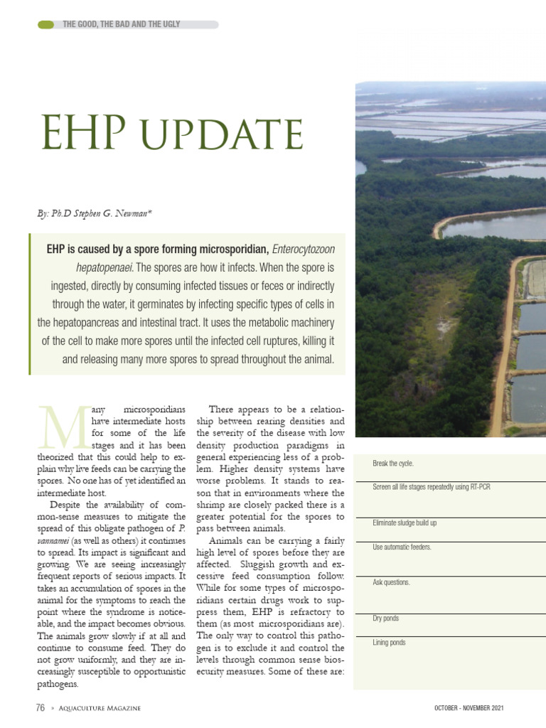 EHP Update | PDF