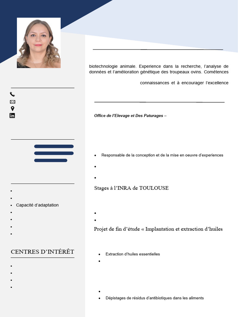CV Ben Abdallah | PDF