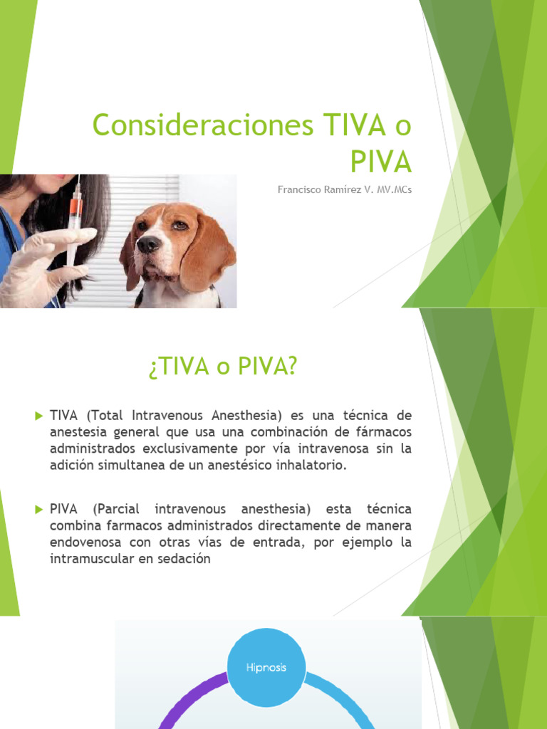 Tiva Piva | PDF | Morfina | Bem-estar