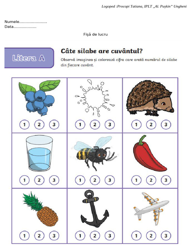 Fisa Cu Litera A | PDF