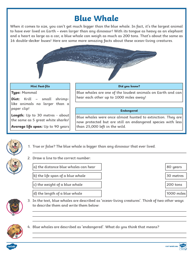 Blue Whale Non-Fiction Reading Revision Mat | PDF
