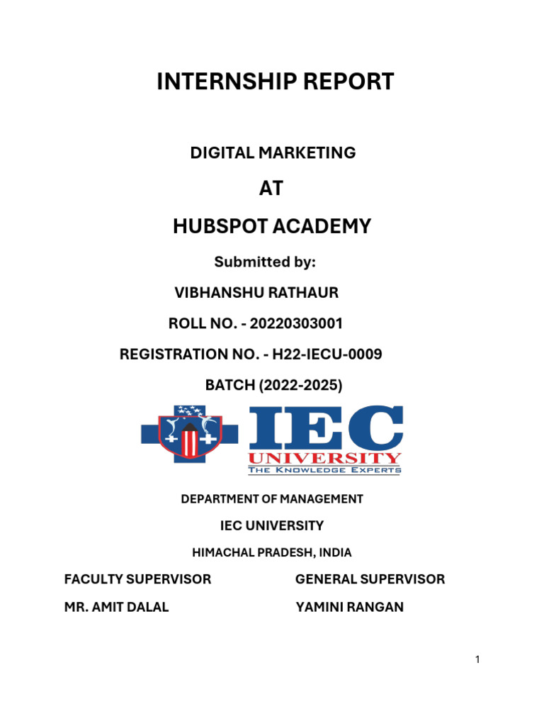 Internship Report For Digital Marketing | PDF