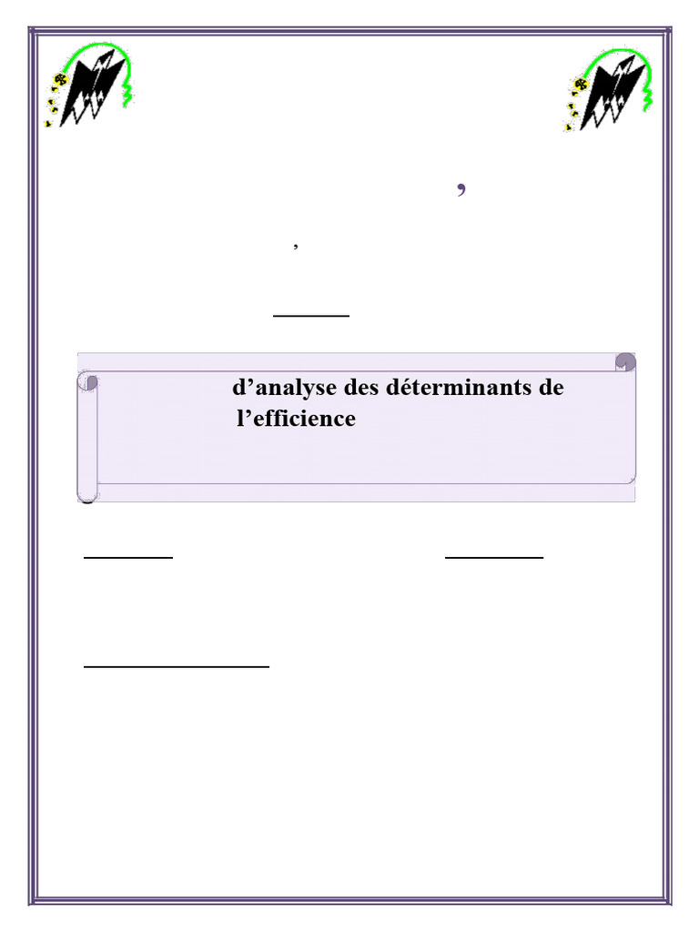 Memoire Final Pdf