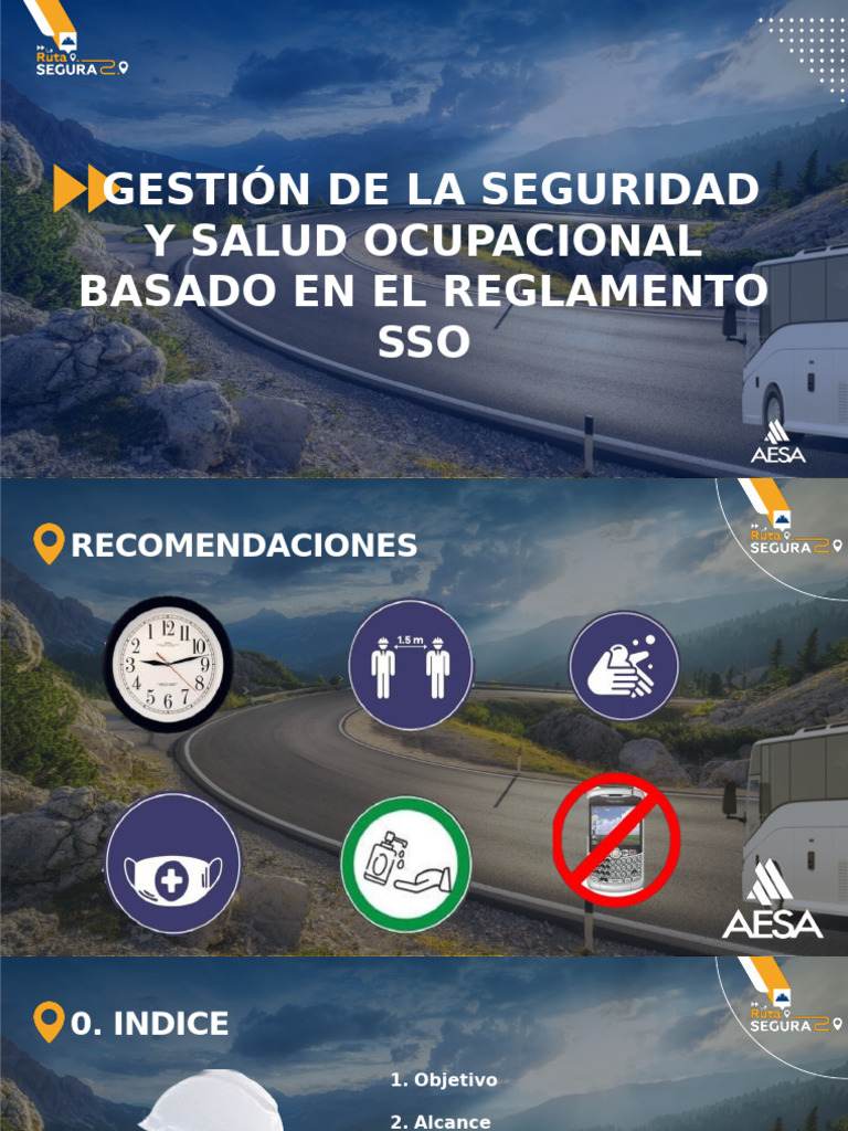 Gestión de La SSO Basado en El Reglamento de SSO y Política de SSO | PDF